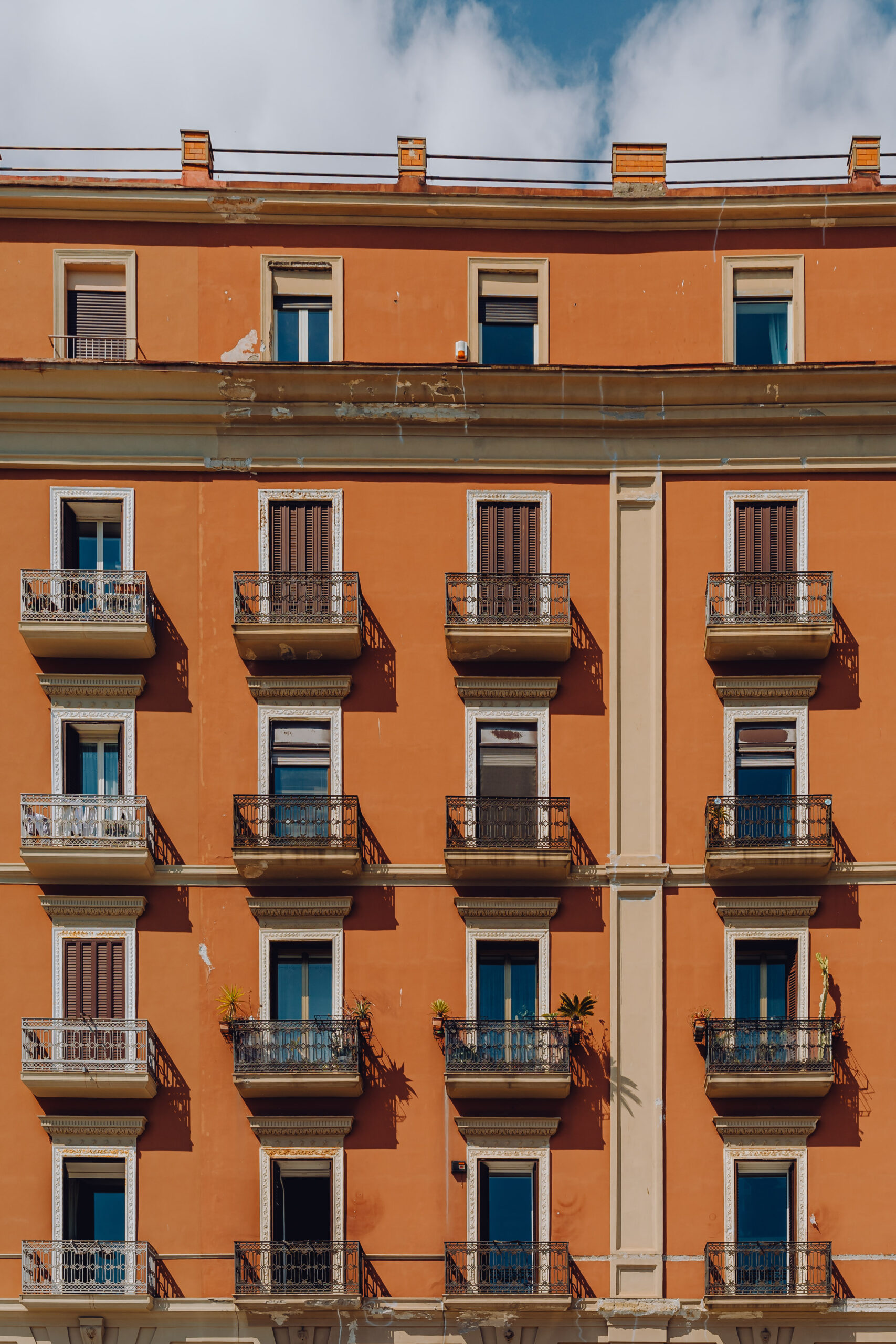 THE GUSH - TRANSISTOR BRAND